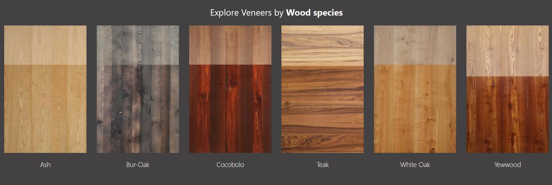 Veneers - KG Patel & Co.